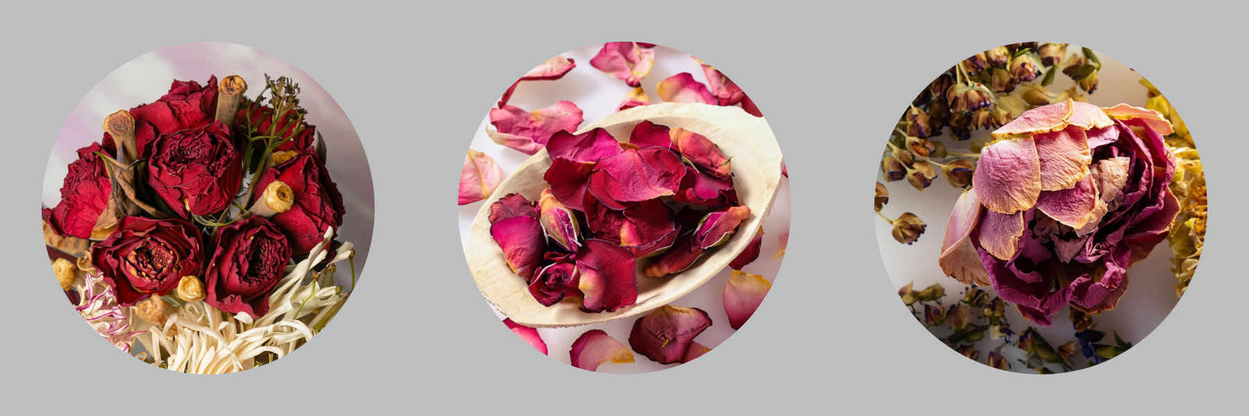 Freeze Drying Flowers